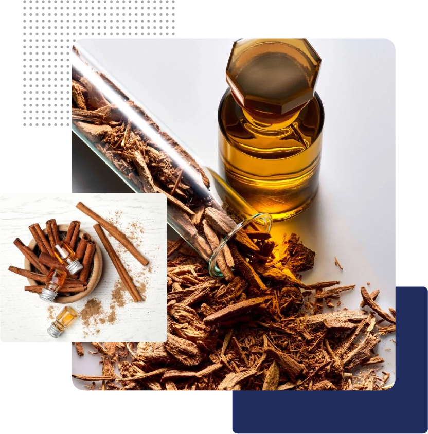 Home - Asia Specialty Ingredients ASI