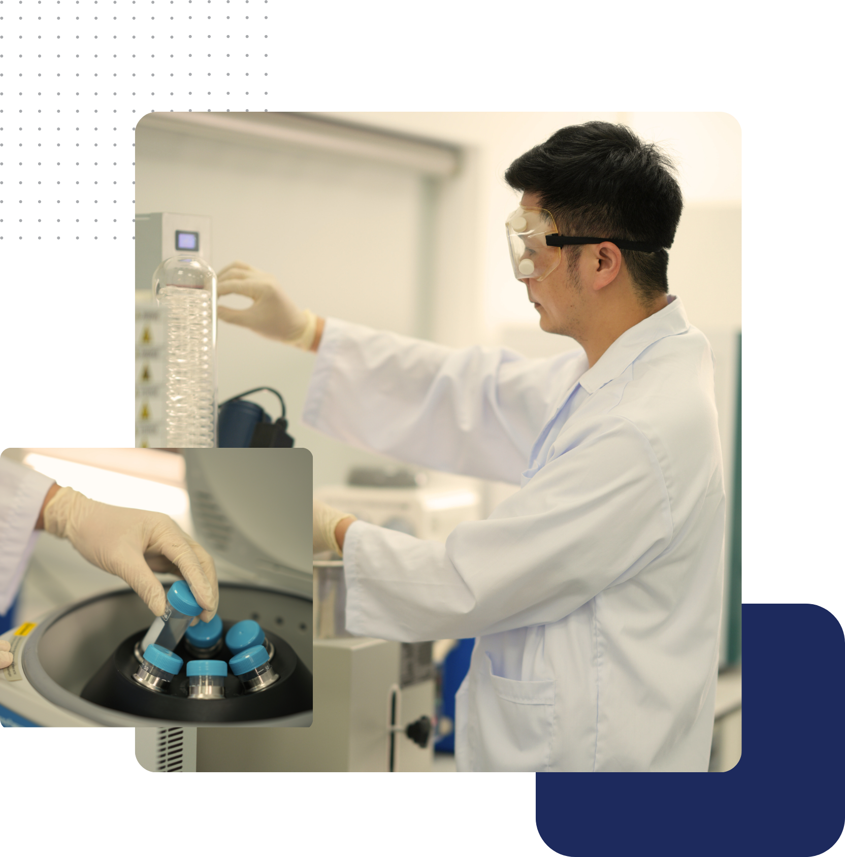 Home - Asia Specialty Ingredients ASI